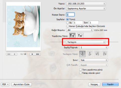 Birden fazla resim tek sayfada nasıl yazdırılır? - Sihirli Elma
